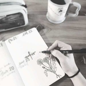 Bullet Journal Components and Terminology - BuJoing